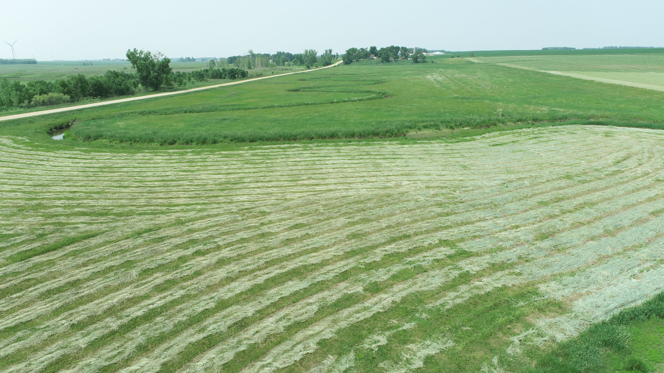 Tillable Land & Pastureland Auction - Murray County, MN