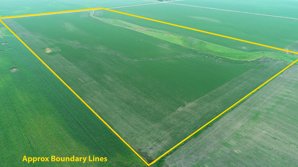 Eden TWP Pipestone County MN Land Auction