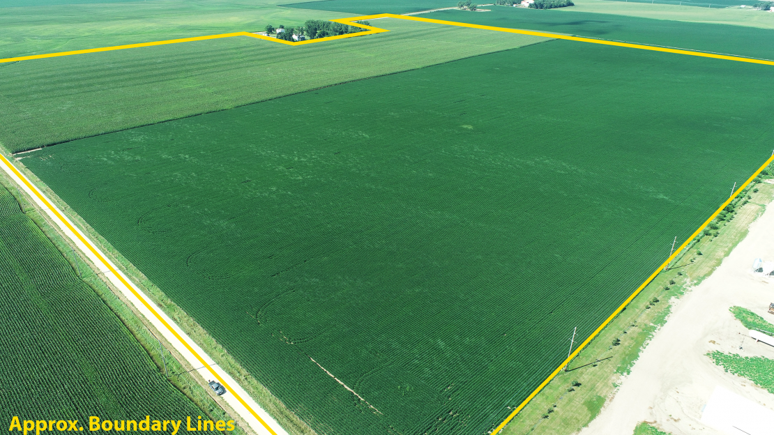 150 +/- Acres of Prime Lyon County Farmland located Northeast of George ...