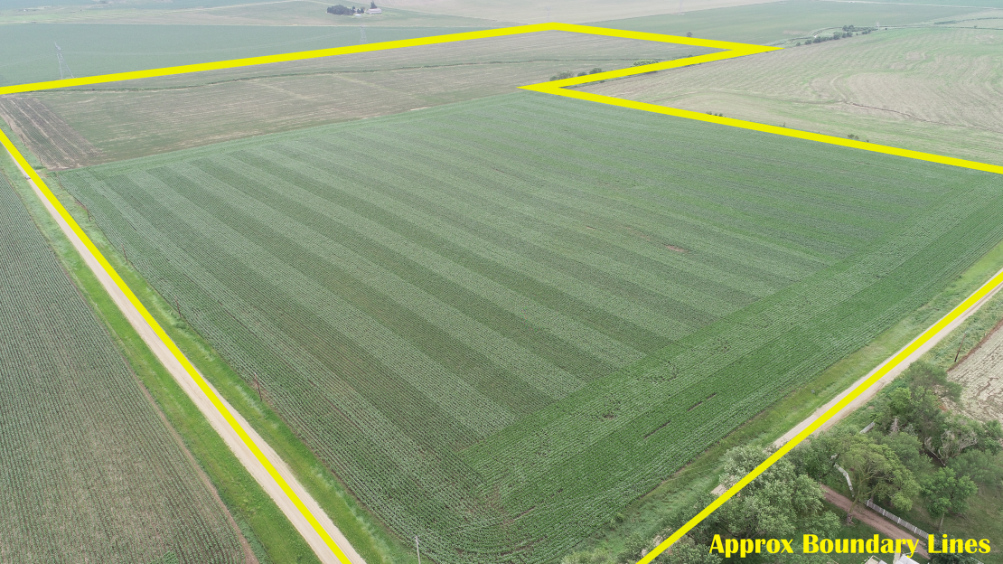 120+/- Acres Of High Quality Farmland For Sale Located In Alcester TWP ...