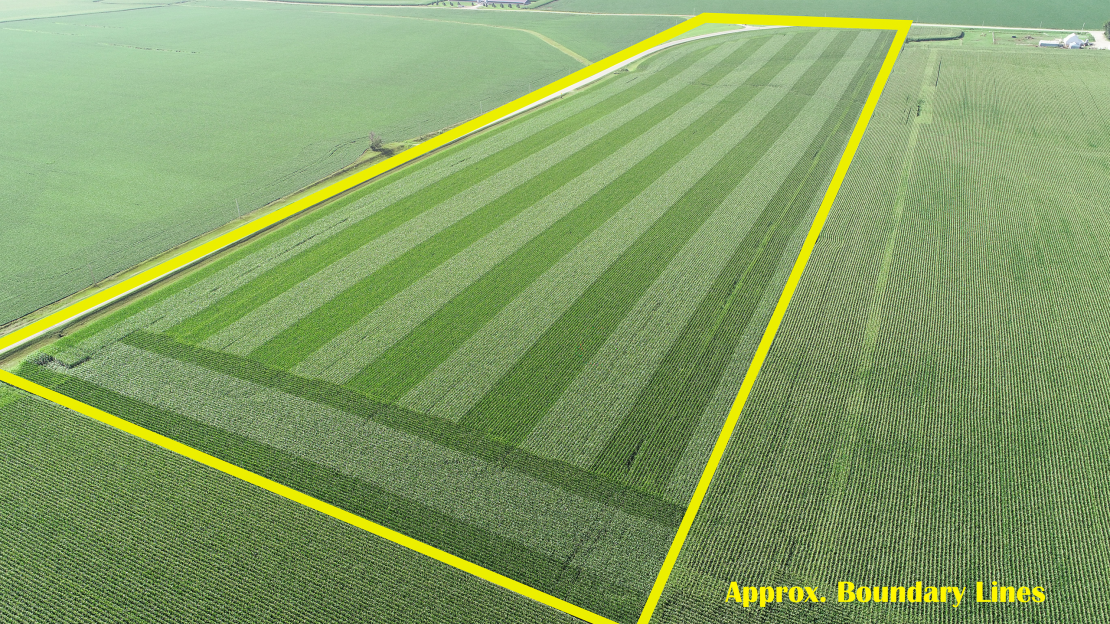 Nobles County, MN Land For Sale - Little Rock TWP